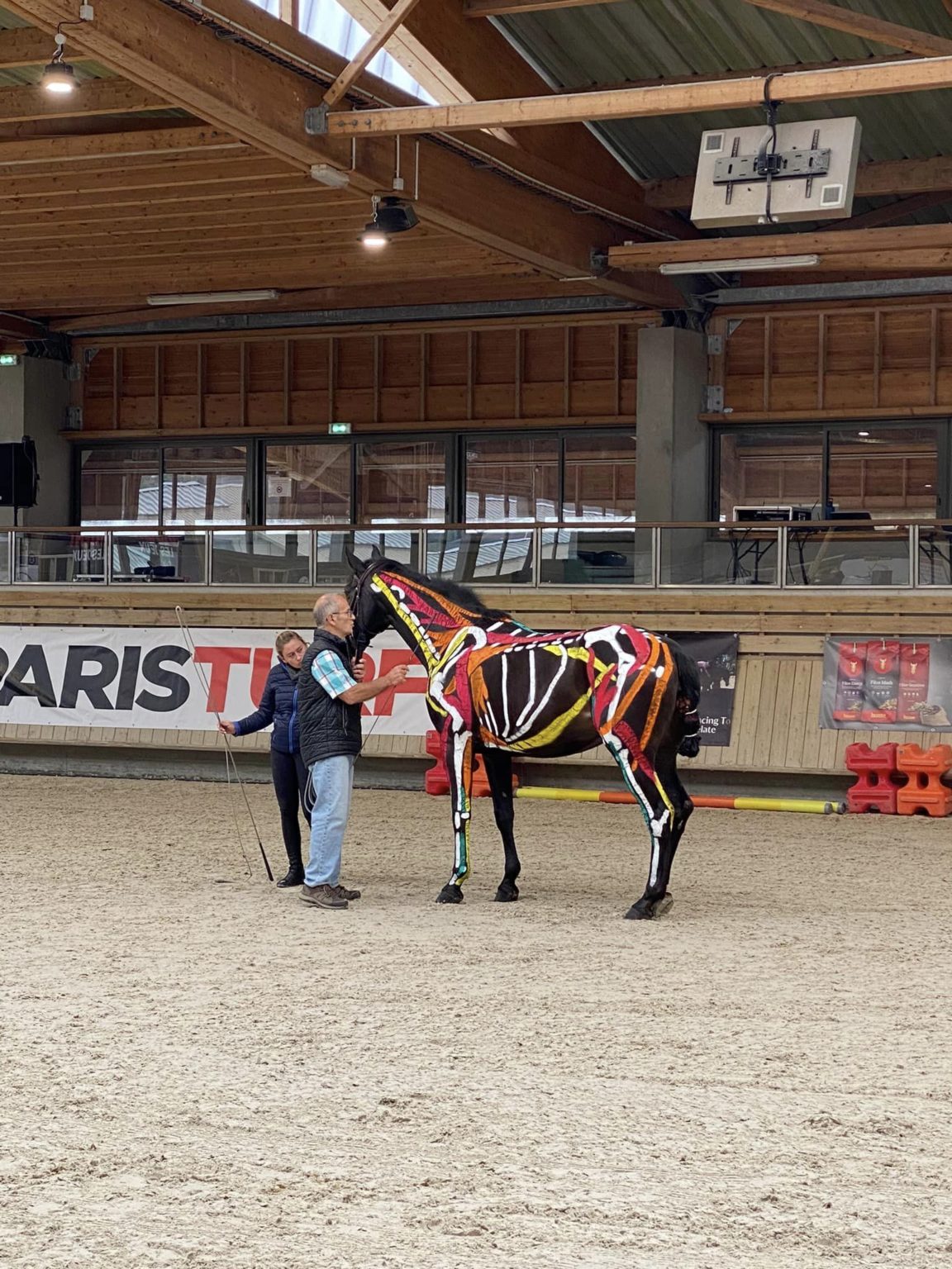 Conseil des Chevaux de Normandie - Le Normandy Horse Meet'Up a ...