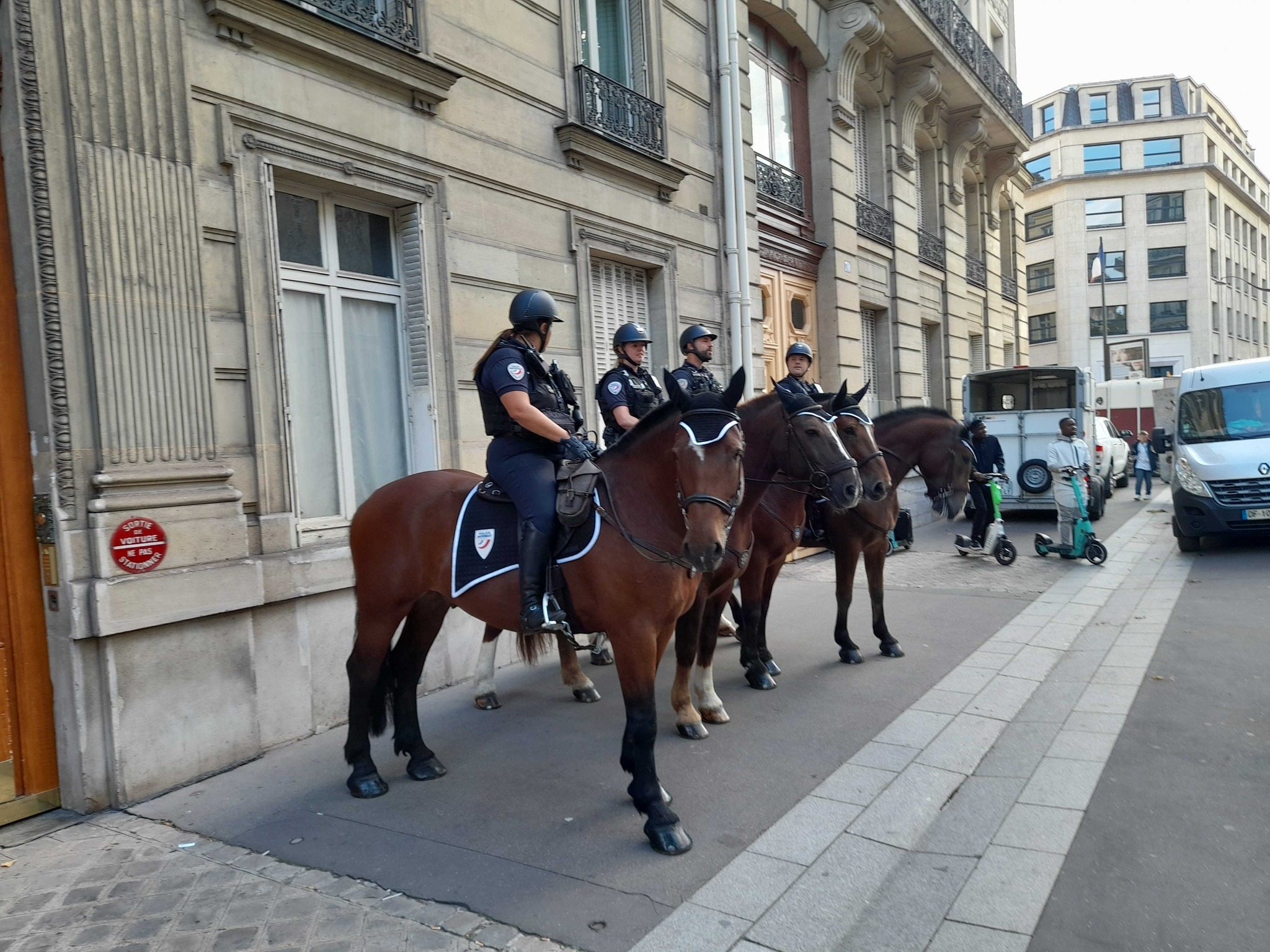 Conseil des Chevaux de Normandie - La Normandie brille à l'Elysée et ...